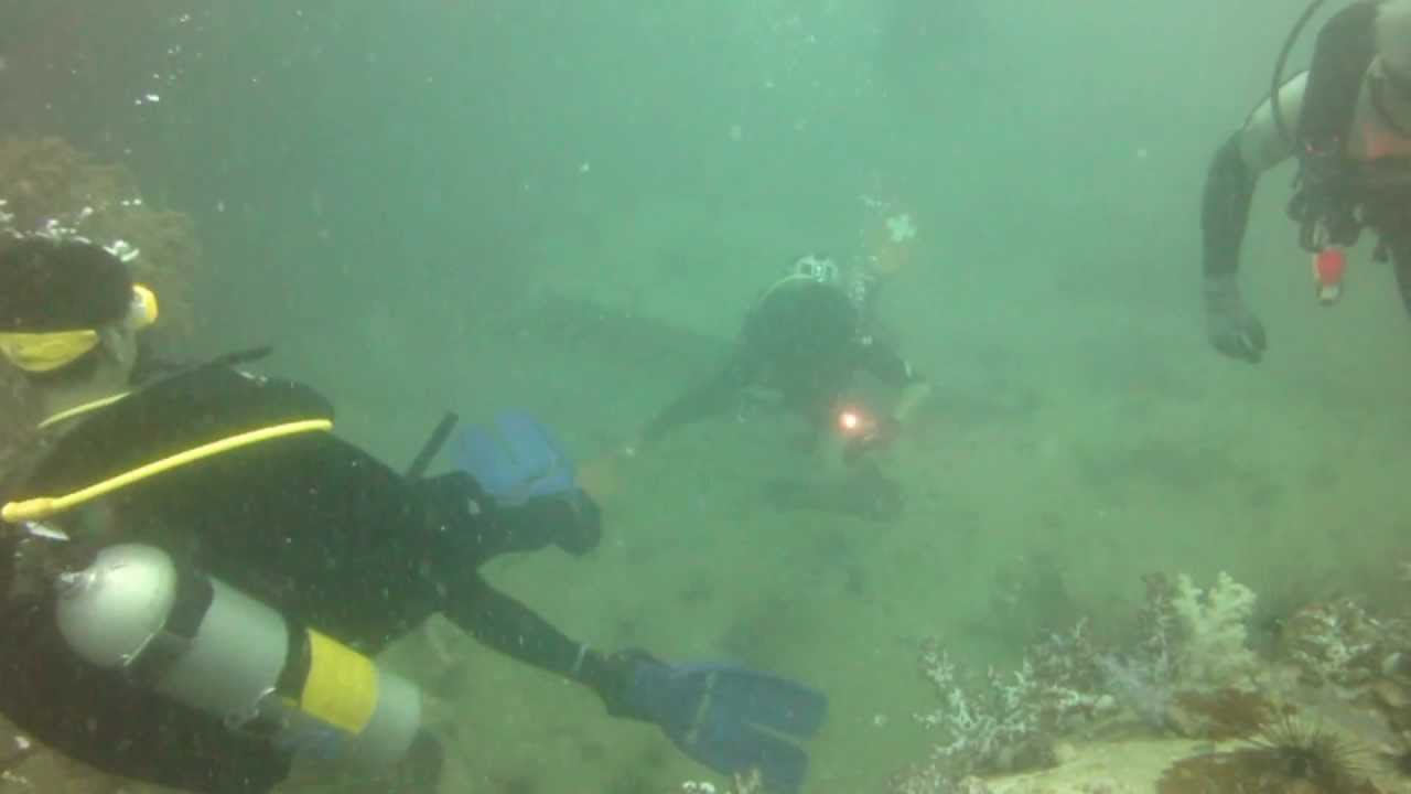 King Cruiser - Wreck Diving @ Phuket (Thailand), 2010-10-26 - YouTube