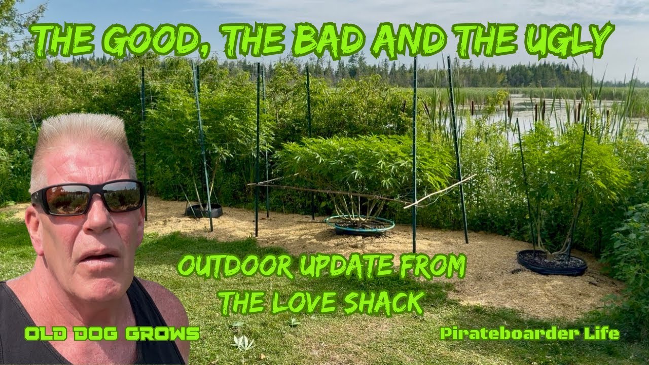 ODG’s The Good, The Bad and The Ugly…Outdoor Update from the Love Shack ...