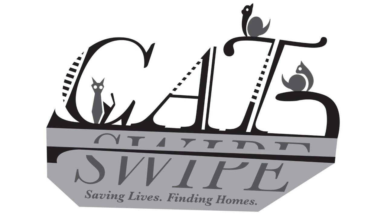Cat Swipe Logo - YouTube