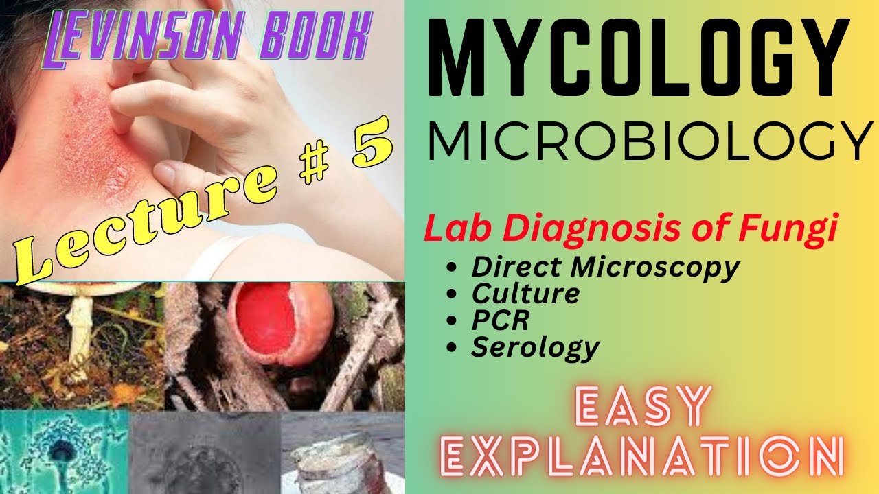 Mycology | Microbiology | Lab Diagnosis of fungi | MBBS | lecture 5 ...