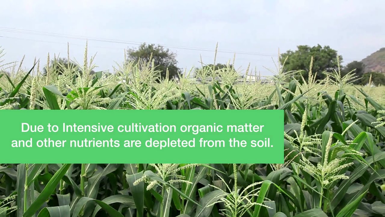 AGRITONE 4.5 - YouTube