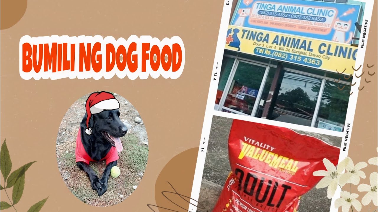 VlogMas9🌲Bumili Ng Dog Food/Sobrang Traffic Na Naman - YouTube