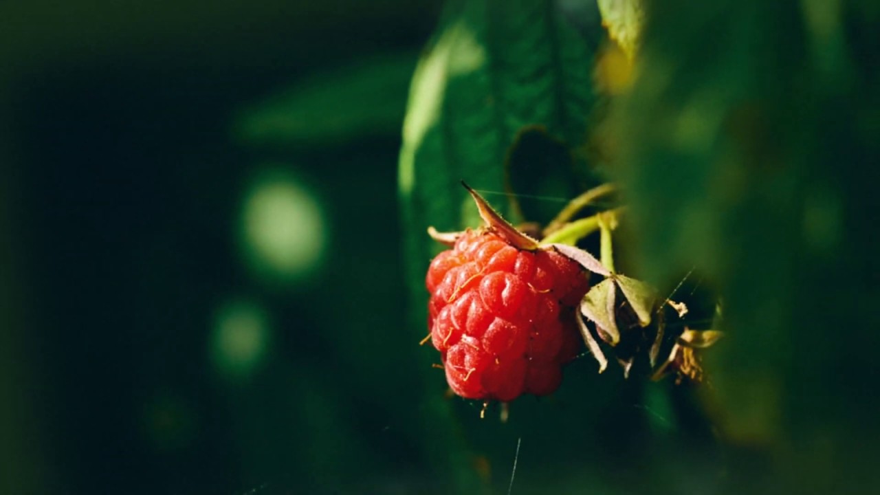 Random photo slideshow - YouTube