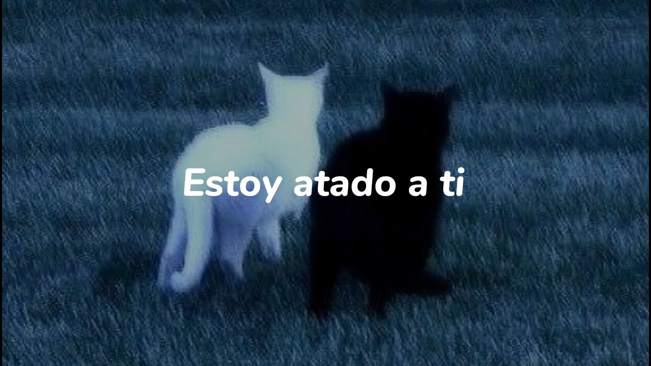 Nadie // Lyrics - YouTube