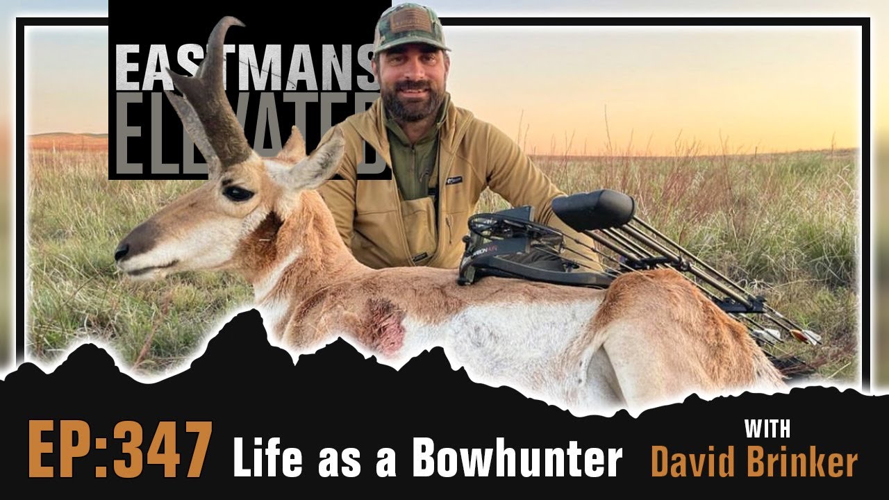Life As A Bowhunter With David Brinker | Eastmans' Elevated Podcast ...