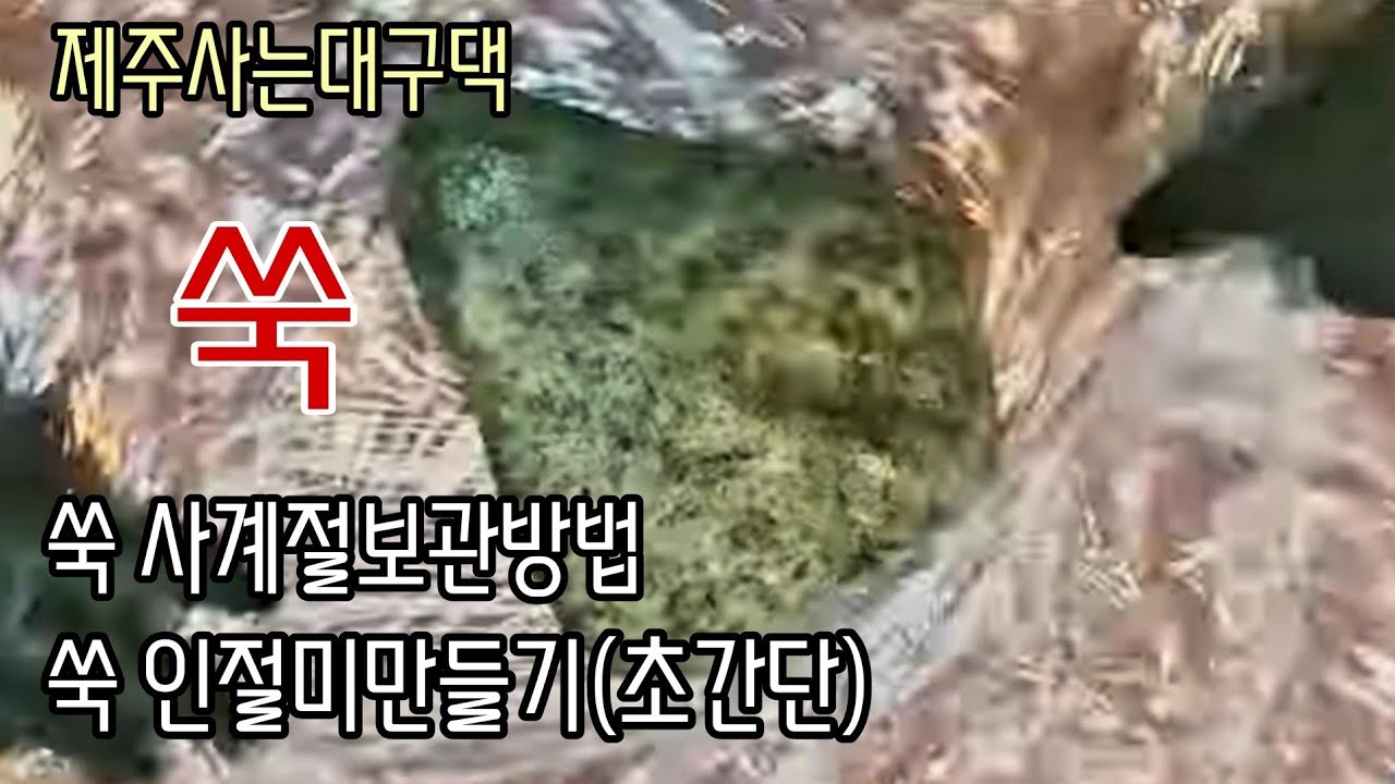 쑥 사계절보관방법 세상에서제일손쉬운방법으로 쑥인절미 집에서 만들어드세요 Youtube