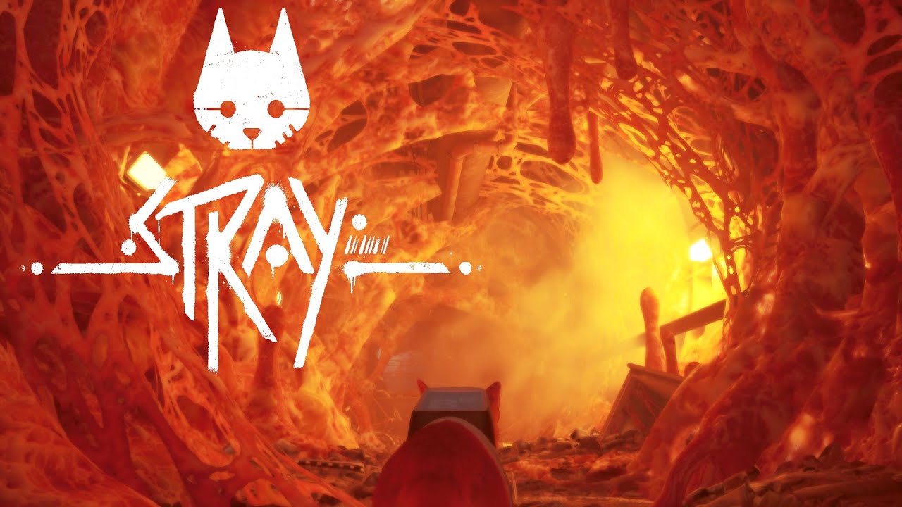 Im Nest der Zurks - Stray - #011 - [1080p HD PC] - #holydiver231 - YouTube