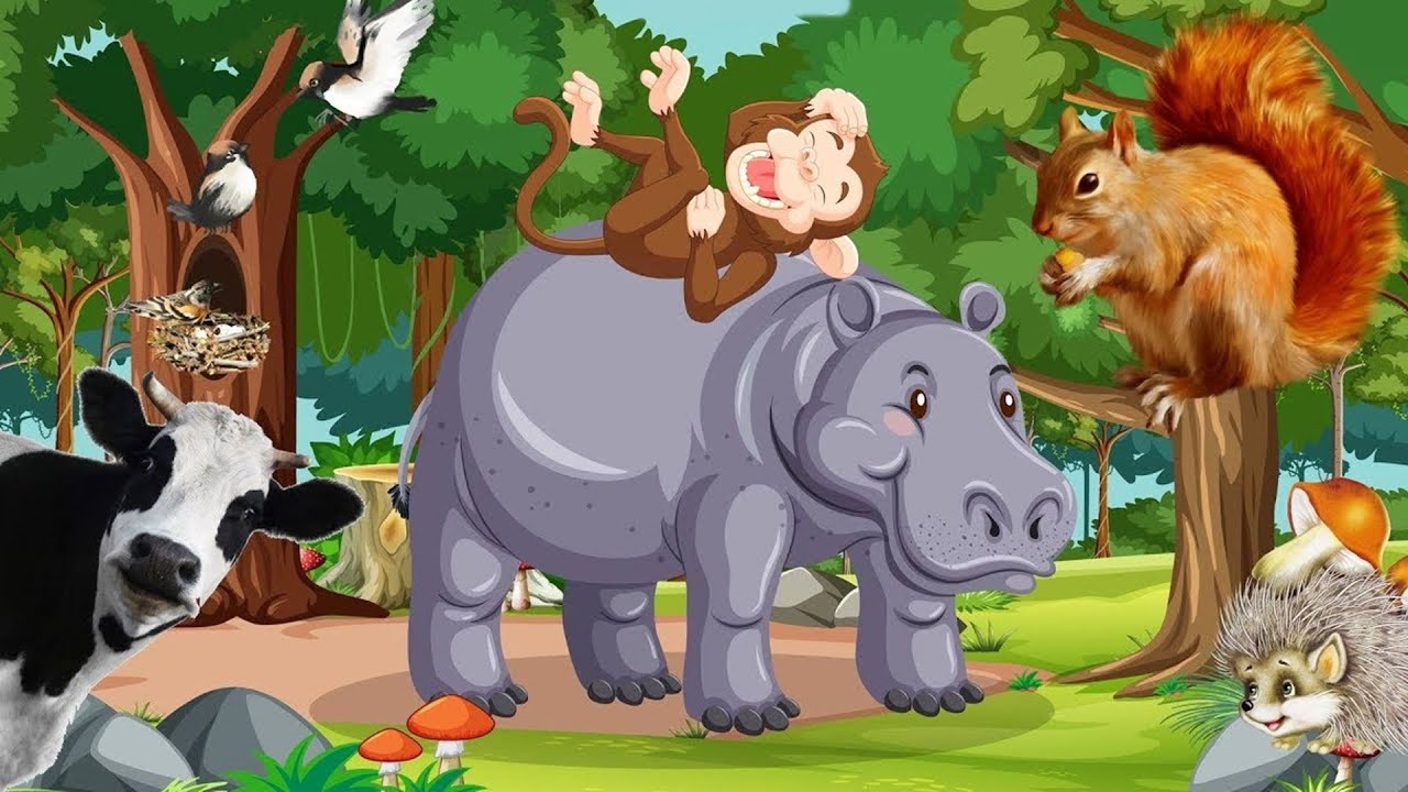 Cute Moments of Animals around us - Okapi, Ocelot, Lion, Giraffe, Hare ...