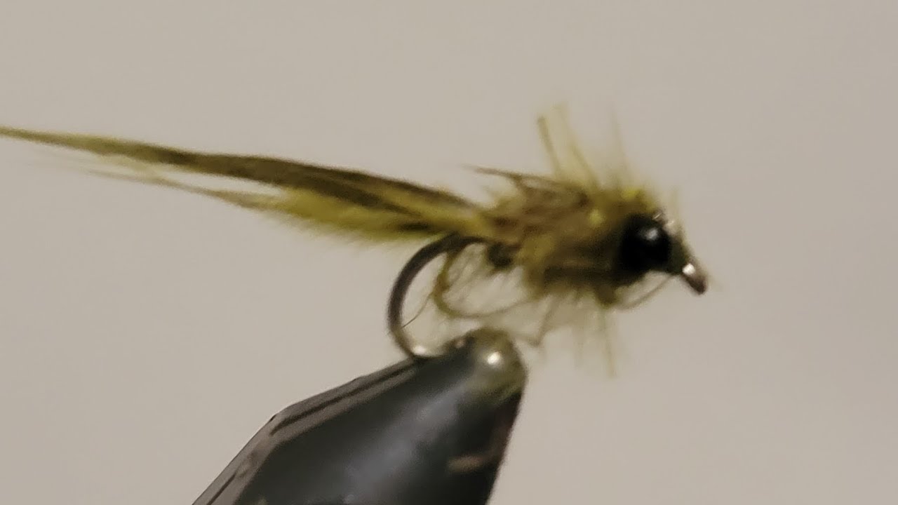 Tying a marabou damsel fly. #beginnerflytying #nymphs#flyfishing# ...