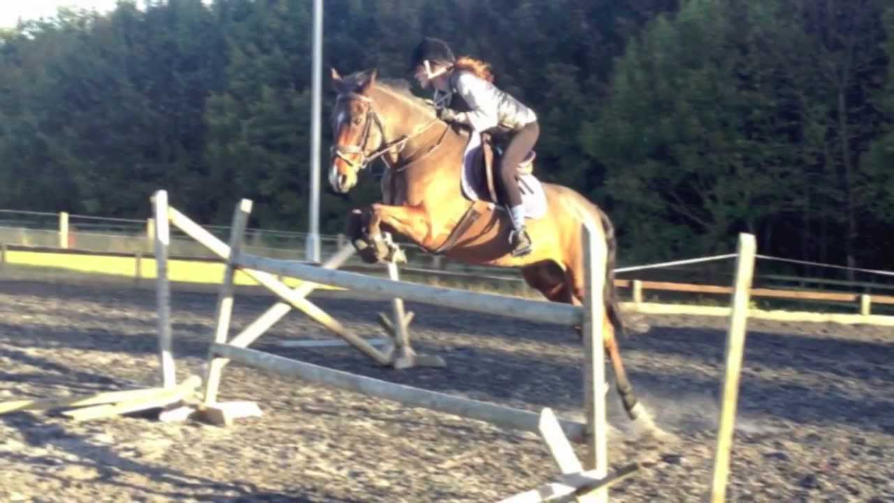 Pony Jumping 1m15/20 - YouTube