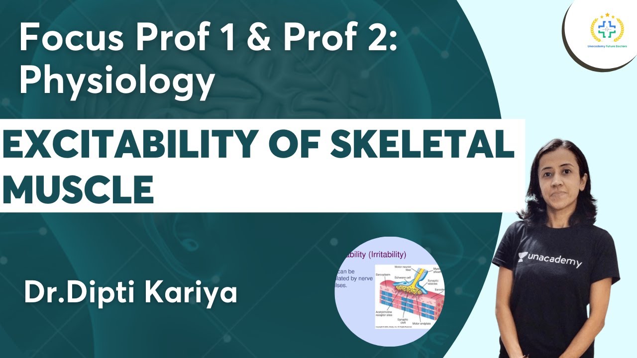 Excitability of Skeletal Muscle | Focus Prof1 & Prof2 Physiology ...