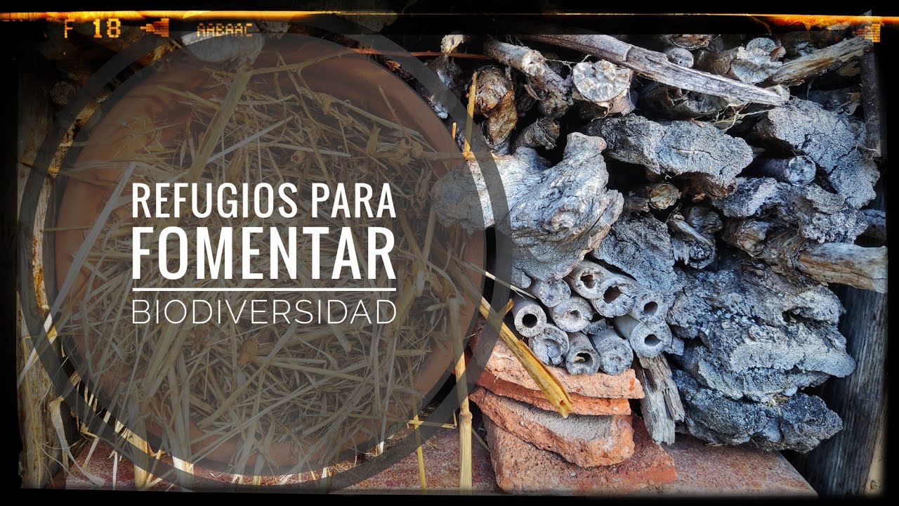 La biodiversidad como aliada. Creamos refugios para fomentar ...