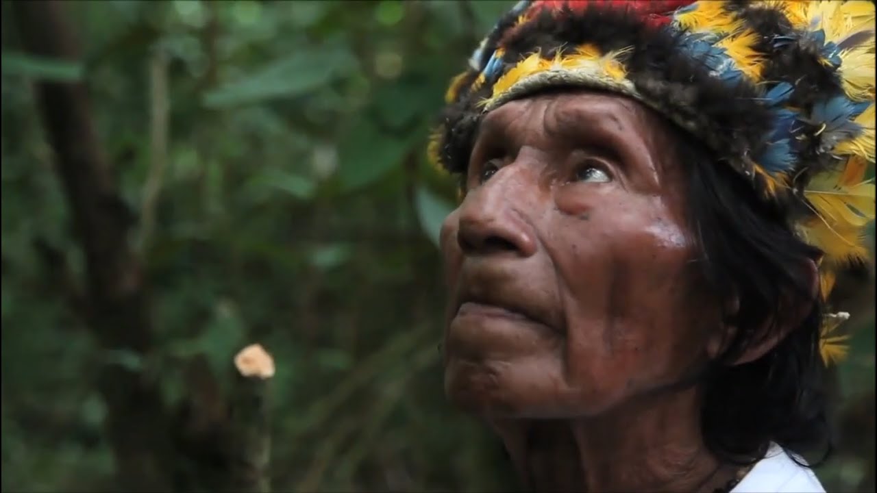 Amazon Promise Traditional Medicine - YouTube