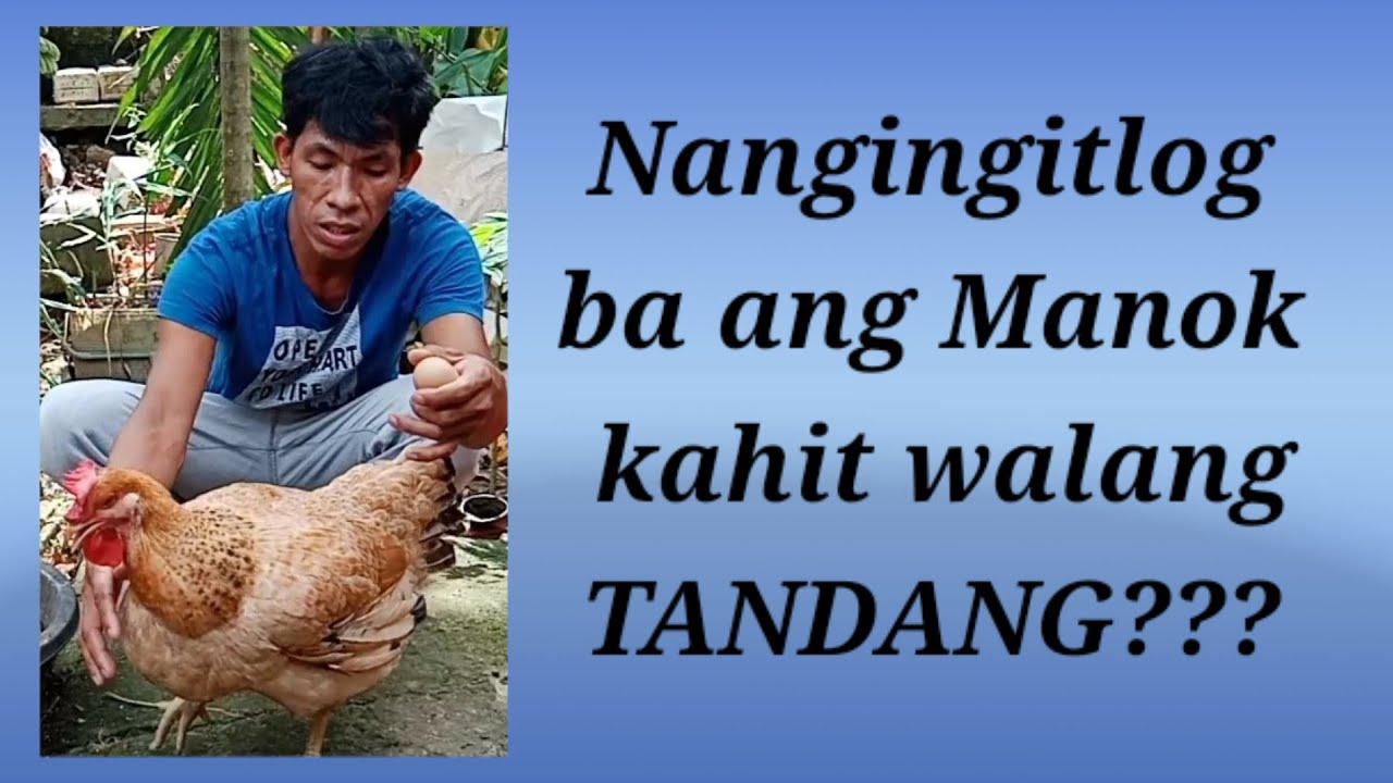 KABIR CHICKEN | by Francishistorillo Official - YouTube