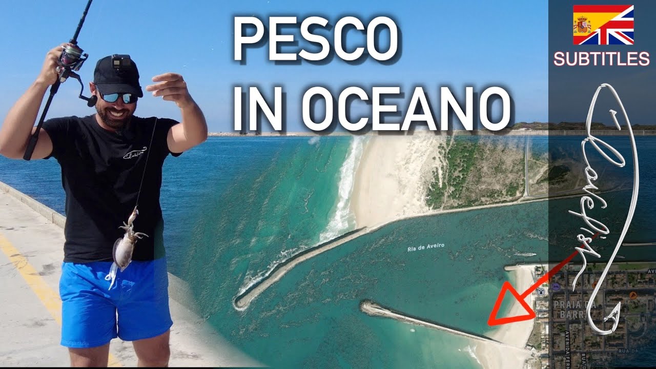 Ho pescato in Portogallo con varie tecniche! - YouTube
