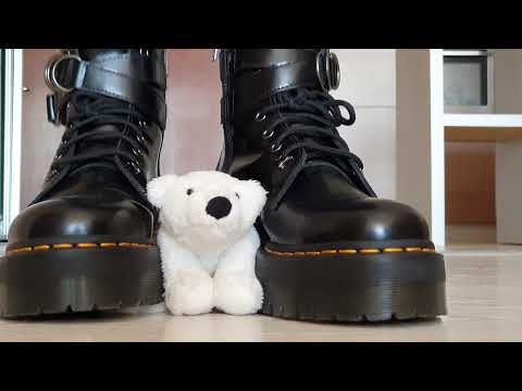 Polar Bear Crush in in Dr Martens 4K Preview
