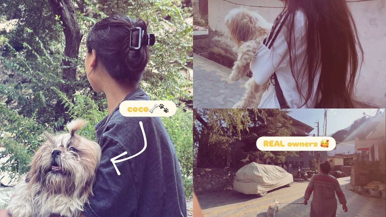 Who is the owner of coco ???? ||| Part-01 ||| #YBvlogs - YouTube