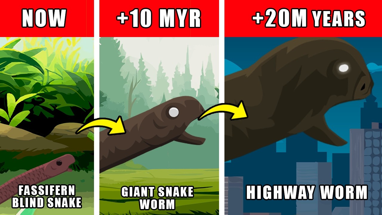 Highway Worm Origin Evolution: How Highway Worm Could Have Evolved ...