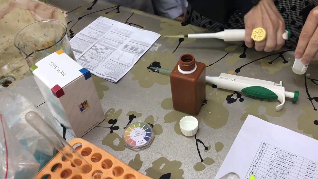 Total protein of Serum , Laboratory - YouTube