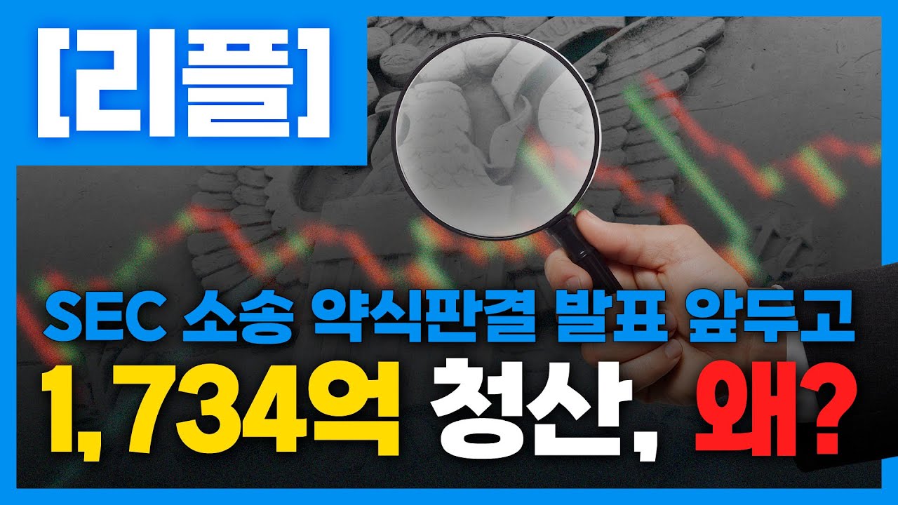 리플 1734억 청산 Sec 소송 약식판결 발표 앞두고 왜 리플코인 리플 리플소송 리플전망 리플대응 리플급등