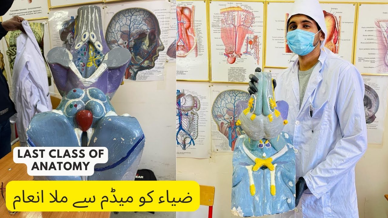 Last Class of Anatomy| Kazakh National Medical University| Kaznmu ...