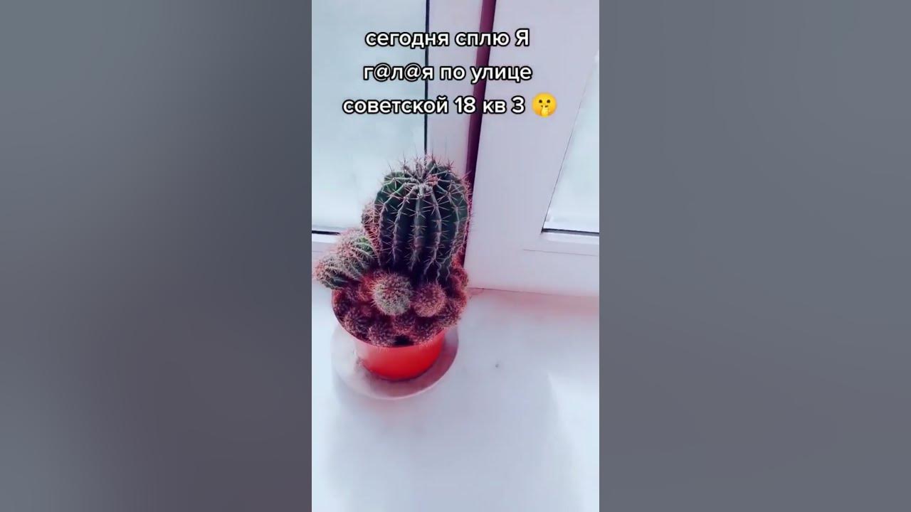 сегодня буду спать Я голая Youtube