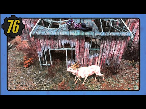 Fallout 76 Daily Challenge Guide for August 6, 2024. - YouTube