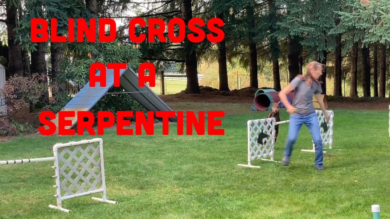 How to Perform an Agility Blind Cross at a Serpentine - YouTube