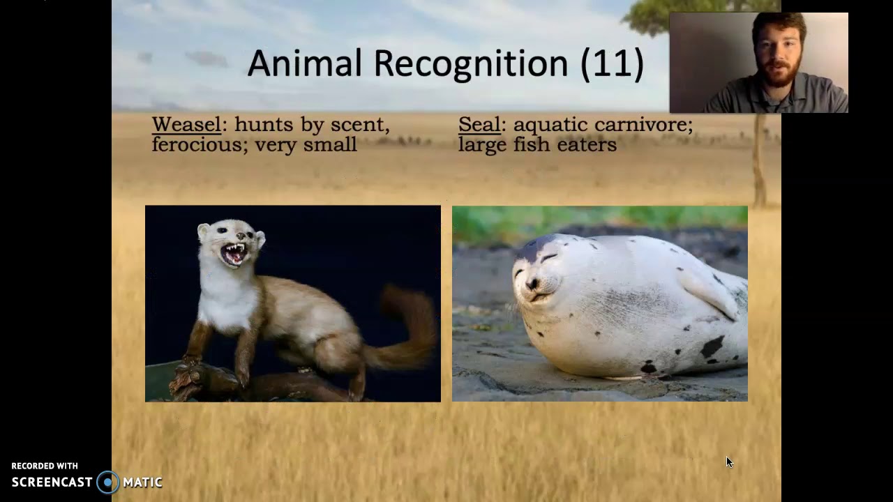 Biology Chapter 16 - Animal Recognition (pt. 2) - YouTube
