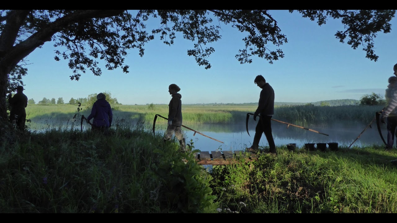 Bog swimming and fruits of the forest in Estonia - YouTube