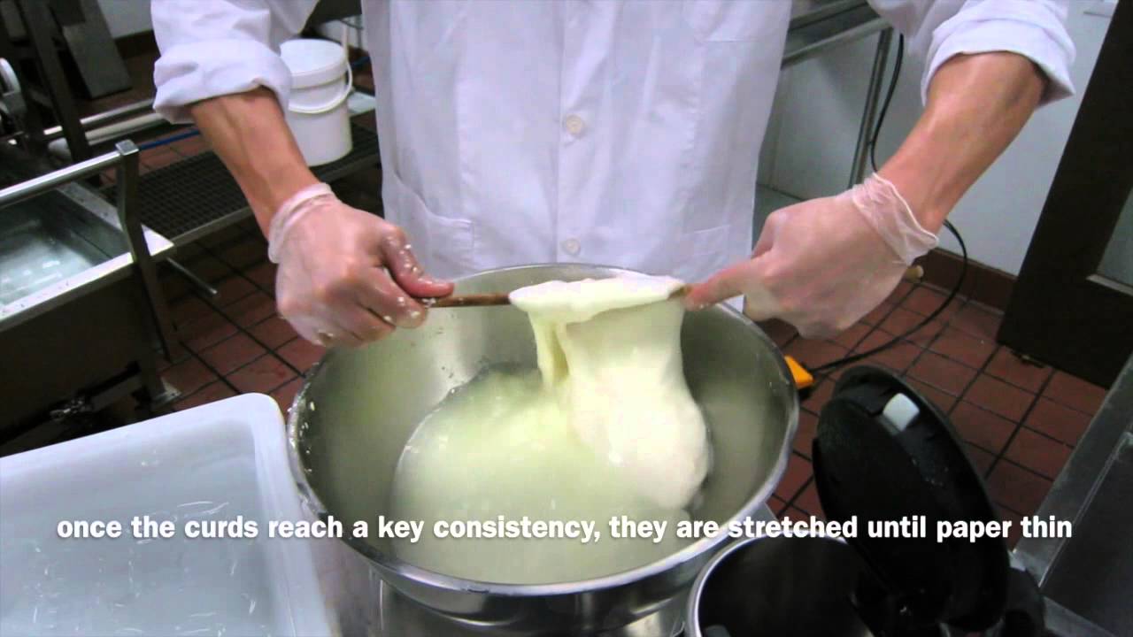 Making fresh buffalo mozzarella at La Perla d'Italia in Dallas - YouTube