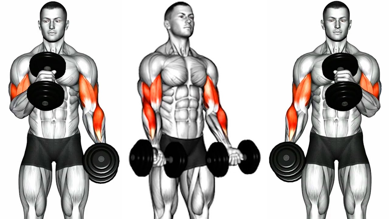 The Perfect 7 Exercises To Build Wide Biceps💪(Dumbbells Only) - YouTube