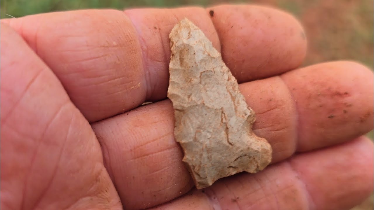 Hunting Arrowheads 7/29/24 - 8/2/24, Walking Bean Field, & CowTrail. - YouTube