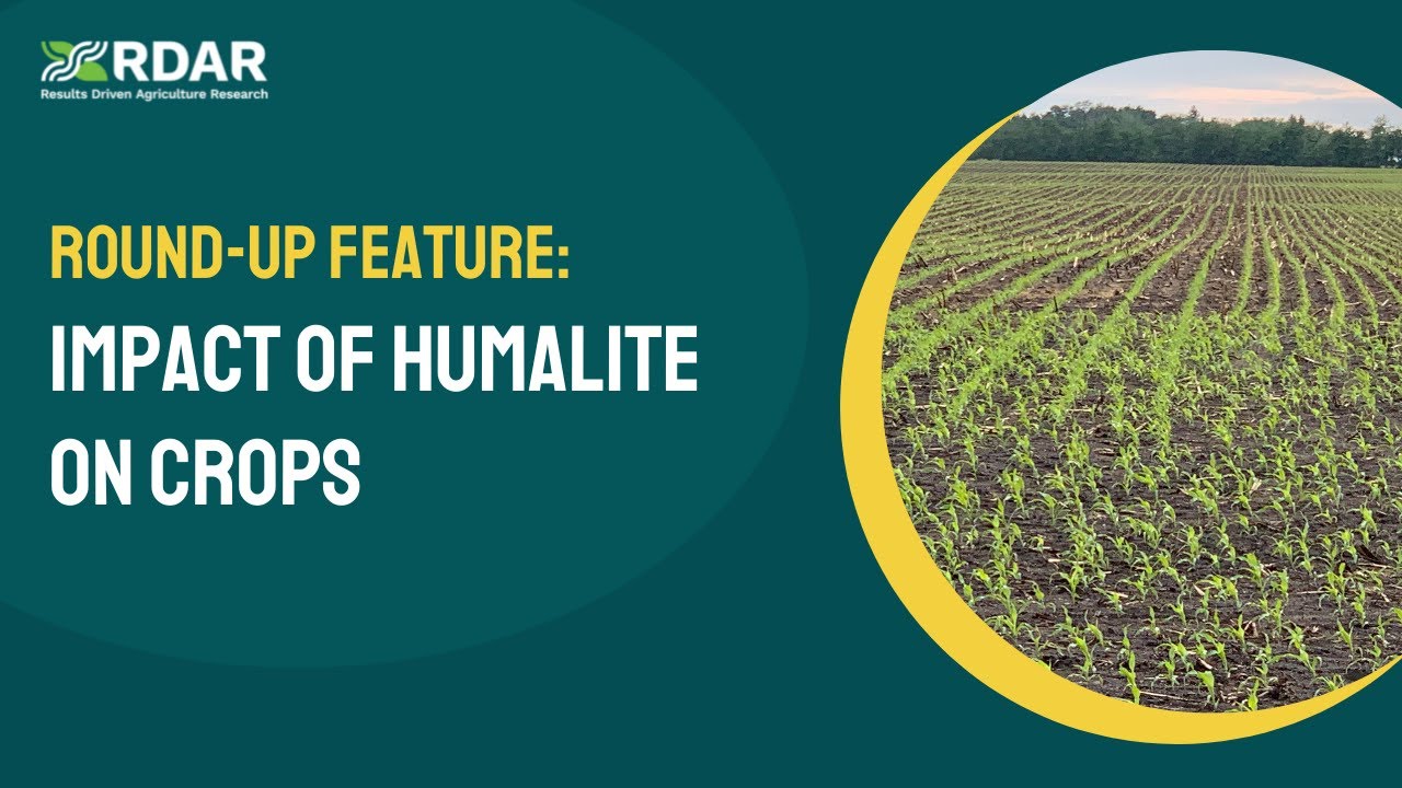 RDAR Round-Up feature: Impact of humalite on crops - YouTube