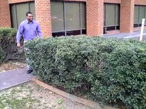 Most Amazing Hedge Jump Ever - YouTube