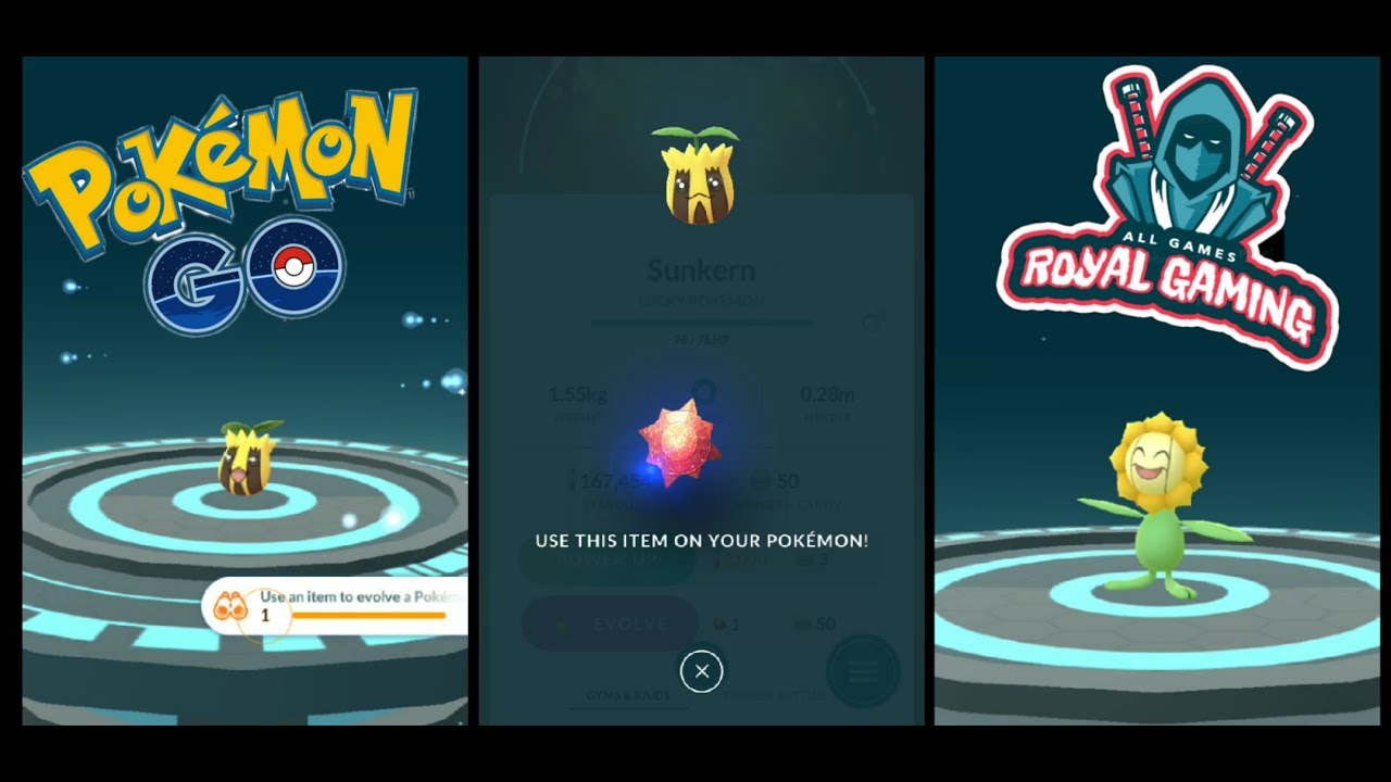 Sunkern evolves to Sunflora | Pokemon Go | Sun Stone (Special item ...