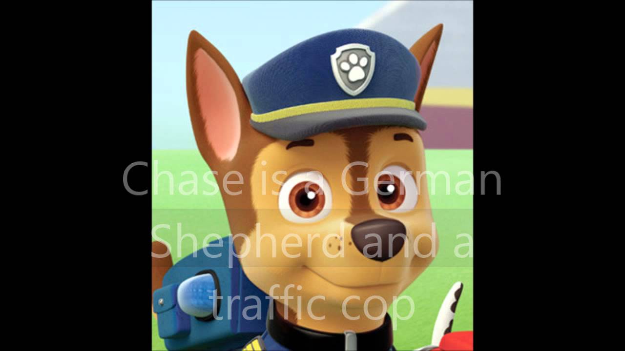 PAW Patrol whole team plus the new pup - YouTube