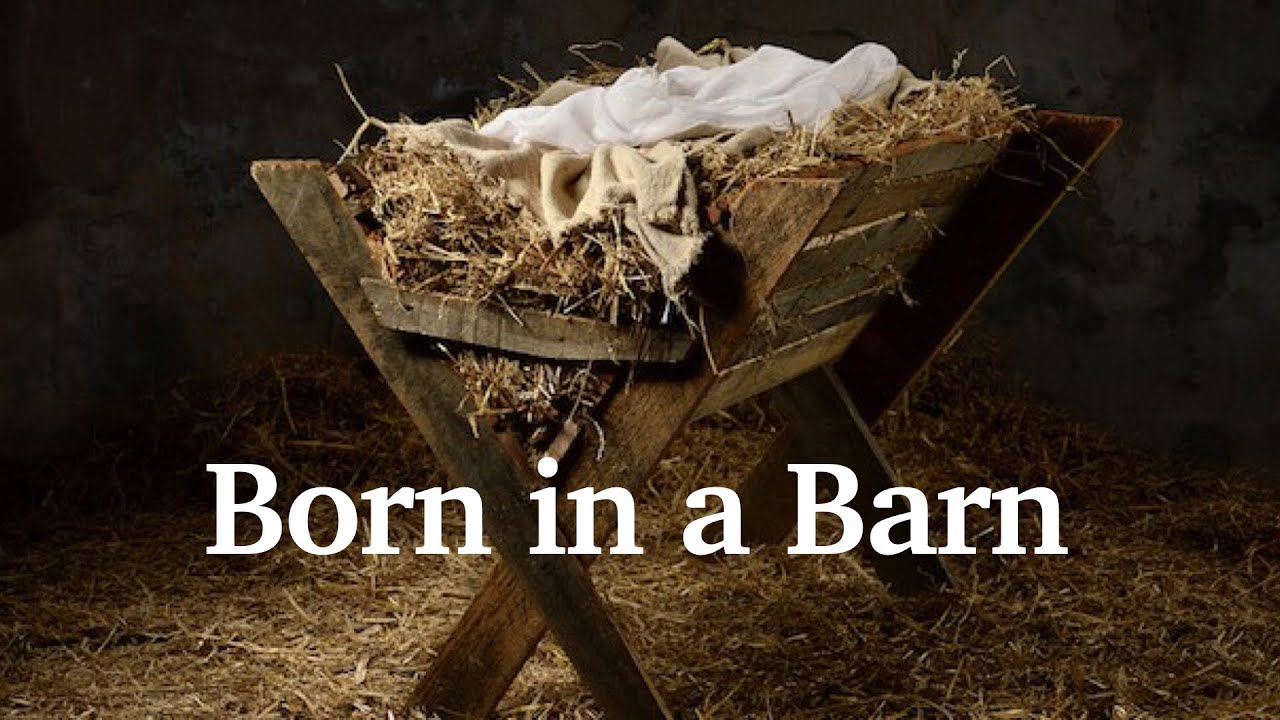 Born in a Barn - YouTube
