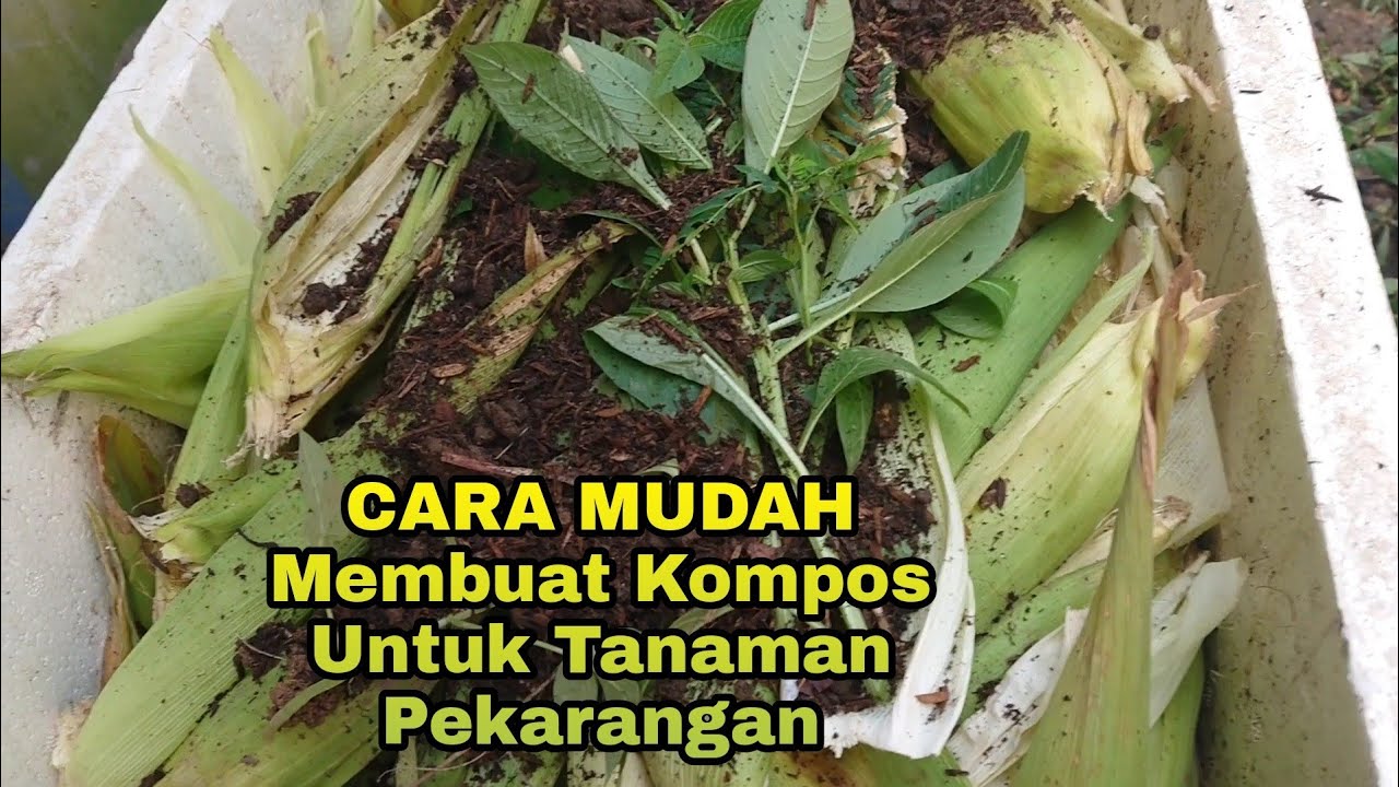 Membuat kompos dengan rumput pekarangan dan limbah rumahan - YouTube