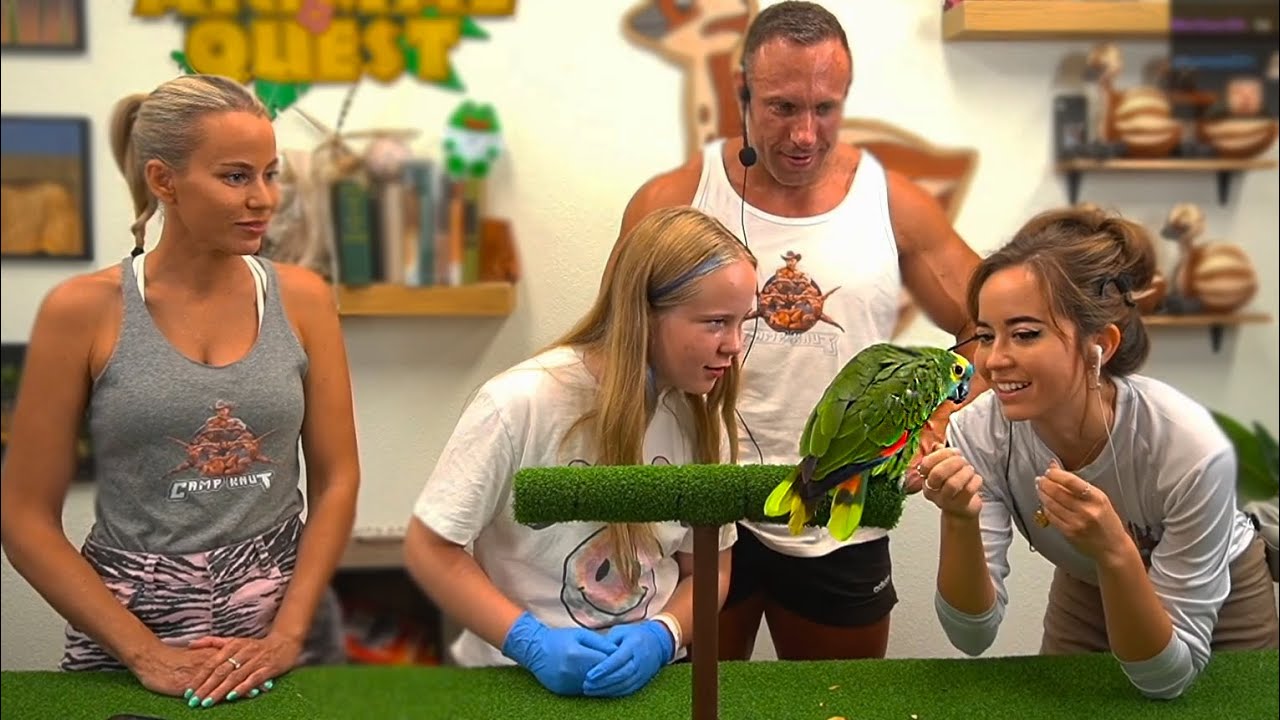Maya introduces Knut and his family to Siren at Alveus - YouTube