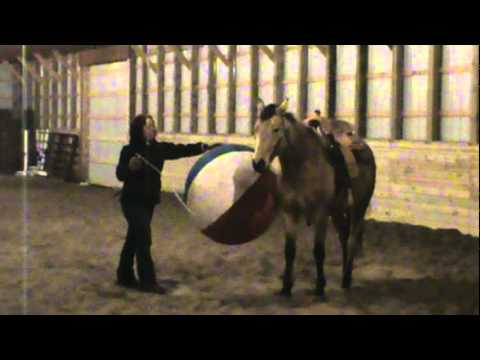 Horse Soccer Balls 40\