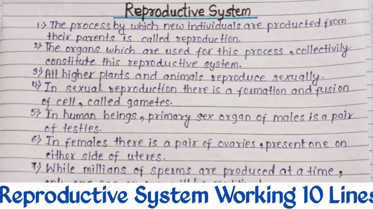 Reproductive System Working 10 Lines |Reproductive System 10 Lines ...