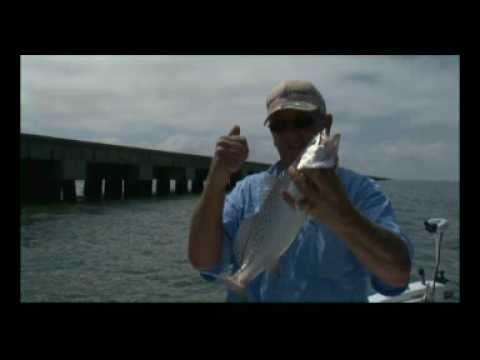 Mississippi Outdoors S24 E03 - Canemount WMA Deer, Ponchatrain Speckled ...