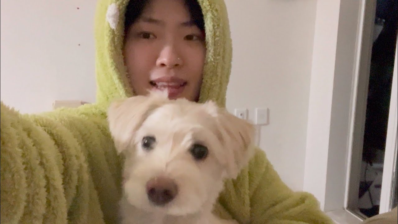 강쥐 굿즈 포장기~~ - YouTube