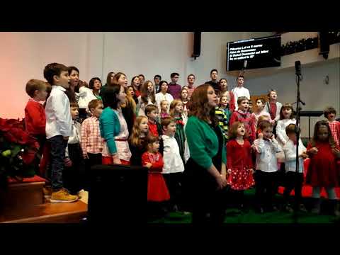 Program de Craciun 2017