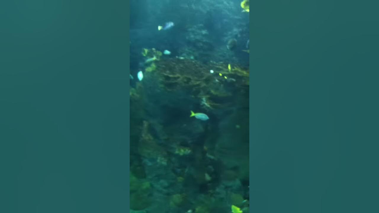 img-2421-youtube