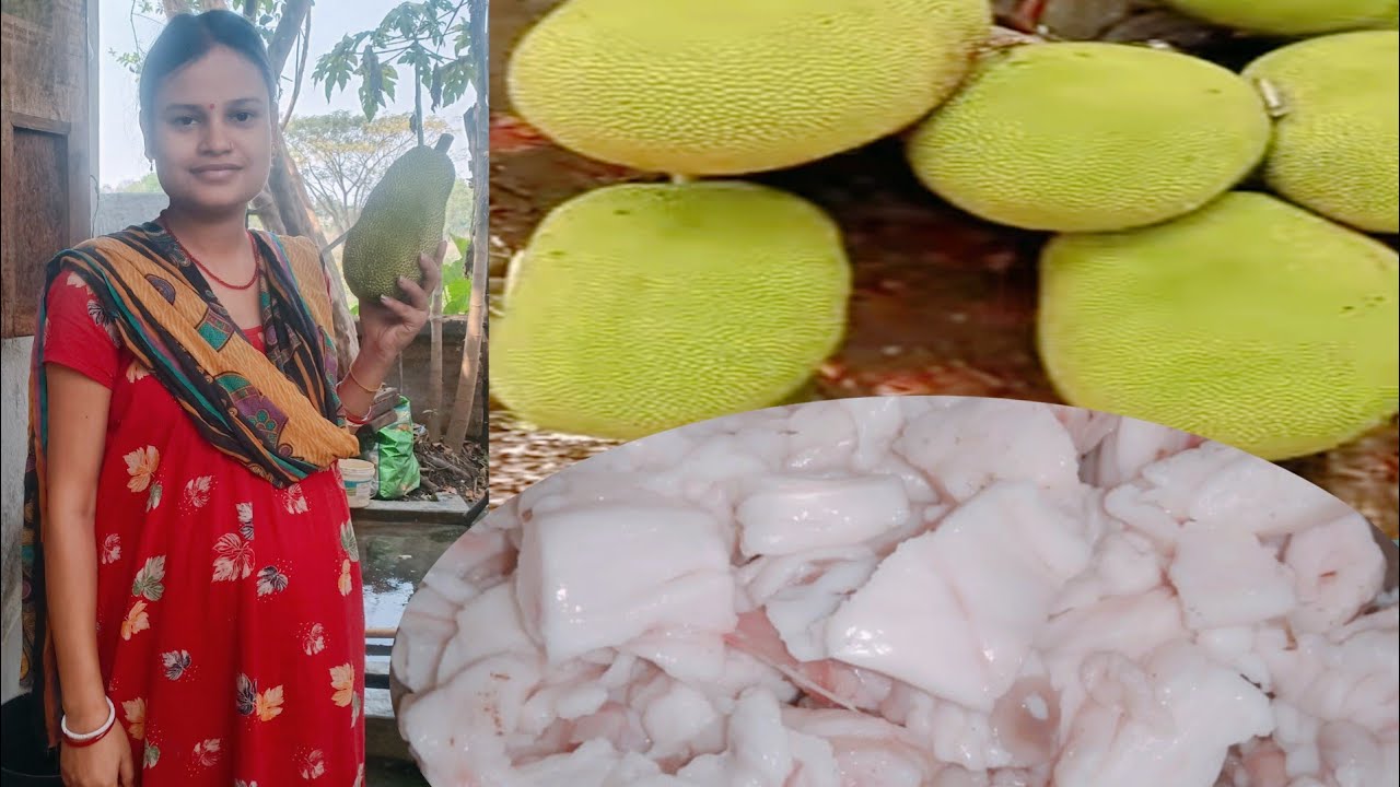 9 month pregnancy teo rat 10 tay bor ke khasir chorbi diye kathal ranna ...