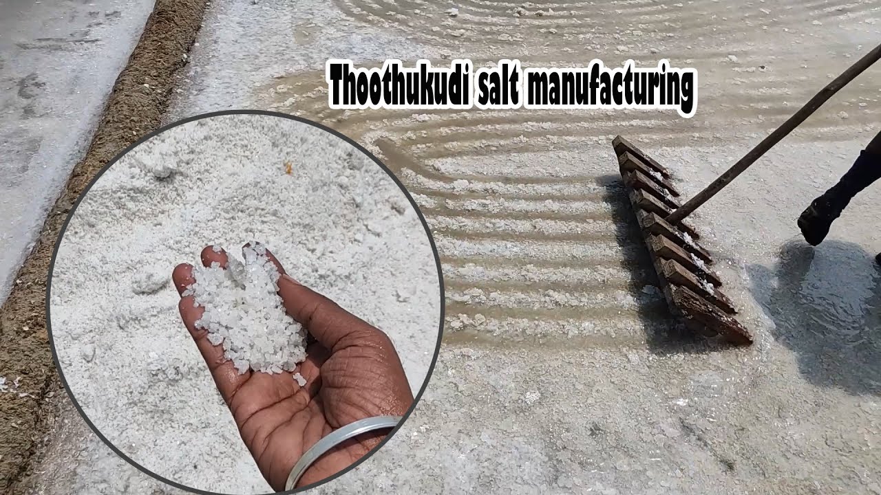 thoothukudi salt production | thoothukudi salt making | thoothukudi ...