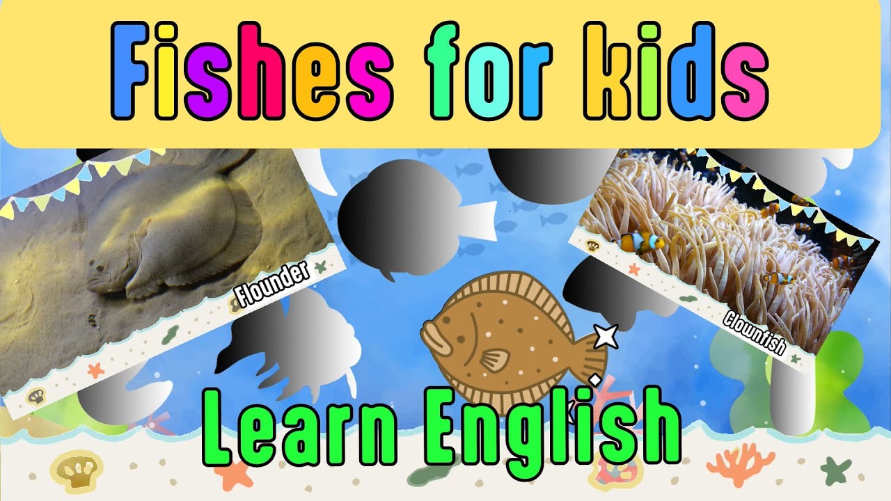 Baby Fishes(Learn English vocabularies for Kids):Sea Animals puzzle ...