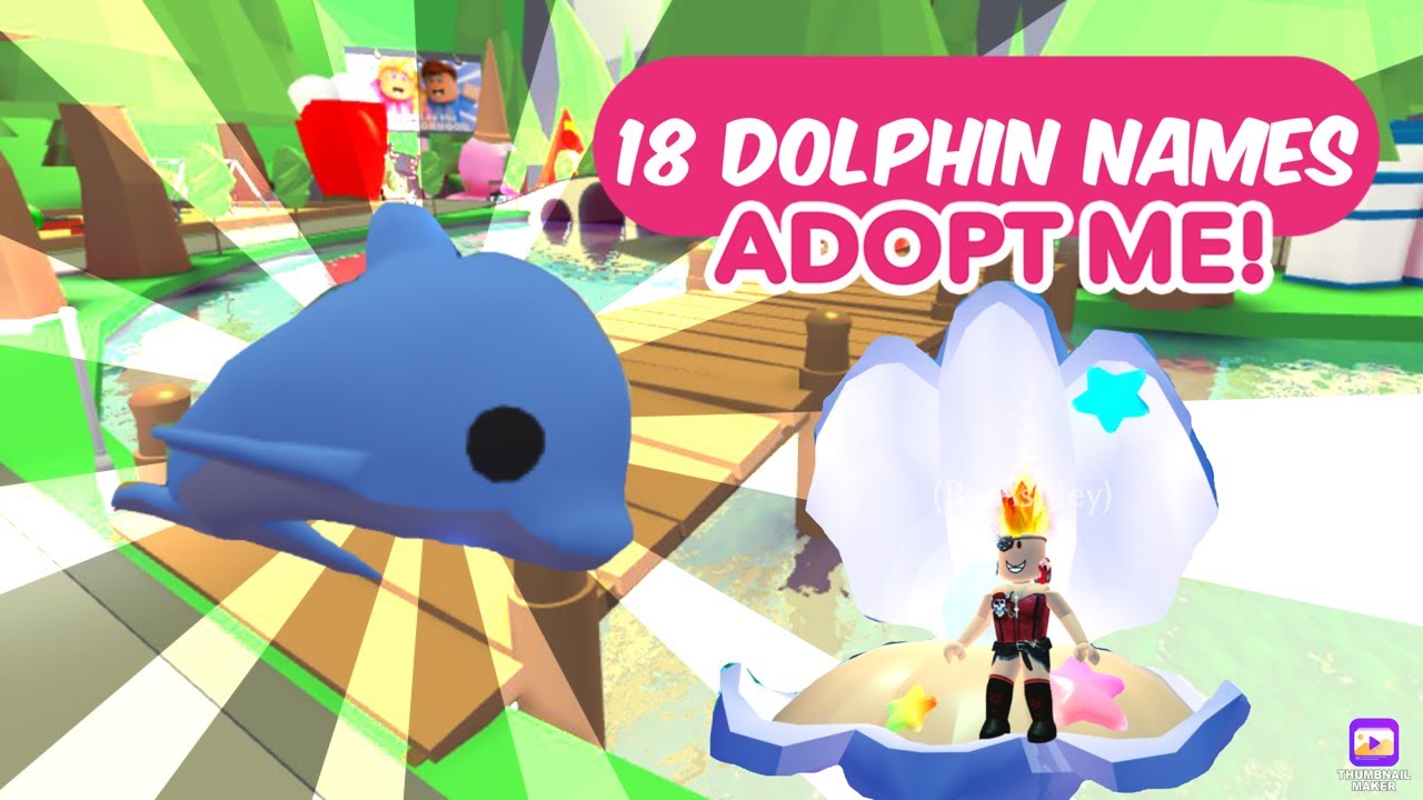 18 Name Suggestions for your Dolphin || Adopt Me!! || Roblox - YouTube